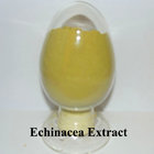 Factory sell echinacea extract echinacea purpurea extract echinacea powder